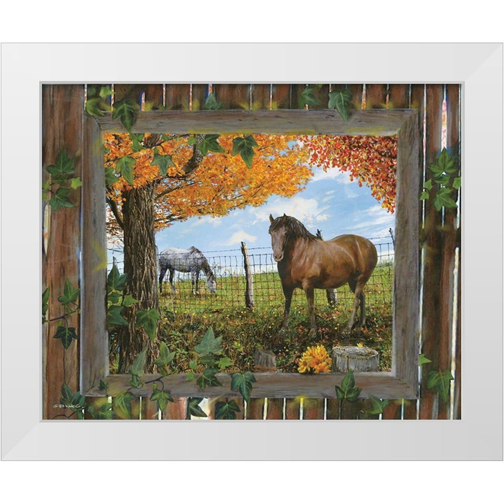 Wargo, Ed 31x26 White Modern Wood Framed Museum Art Print Titled - Barn ...