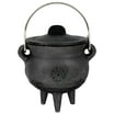 Triple Moon Cast Iron Cauldron With Lid and Handle, Witches Cauldron ...