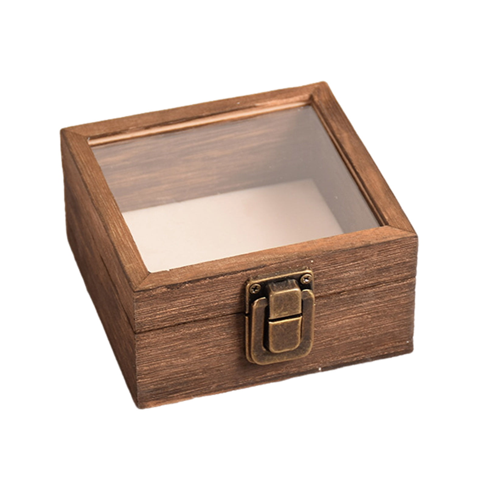 Warkul High-Visibility Display Box Large Insect Shadow Box Wood ...