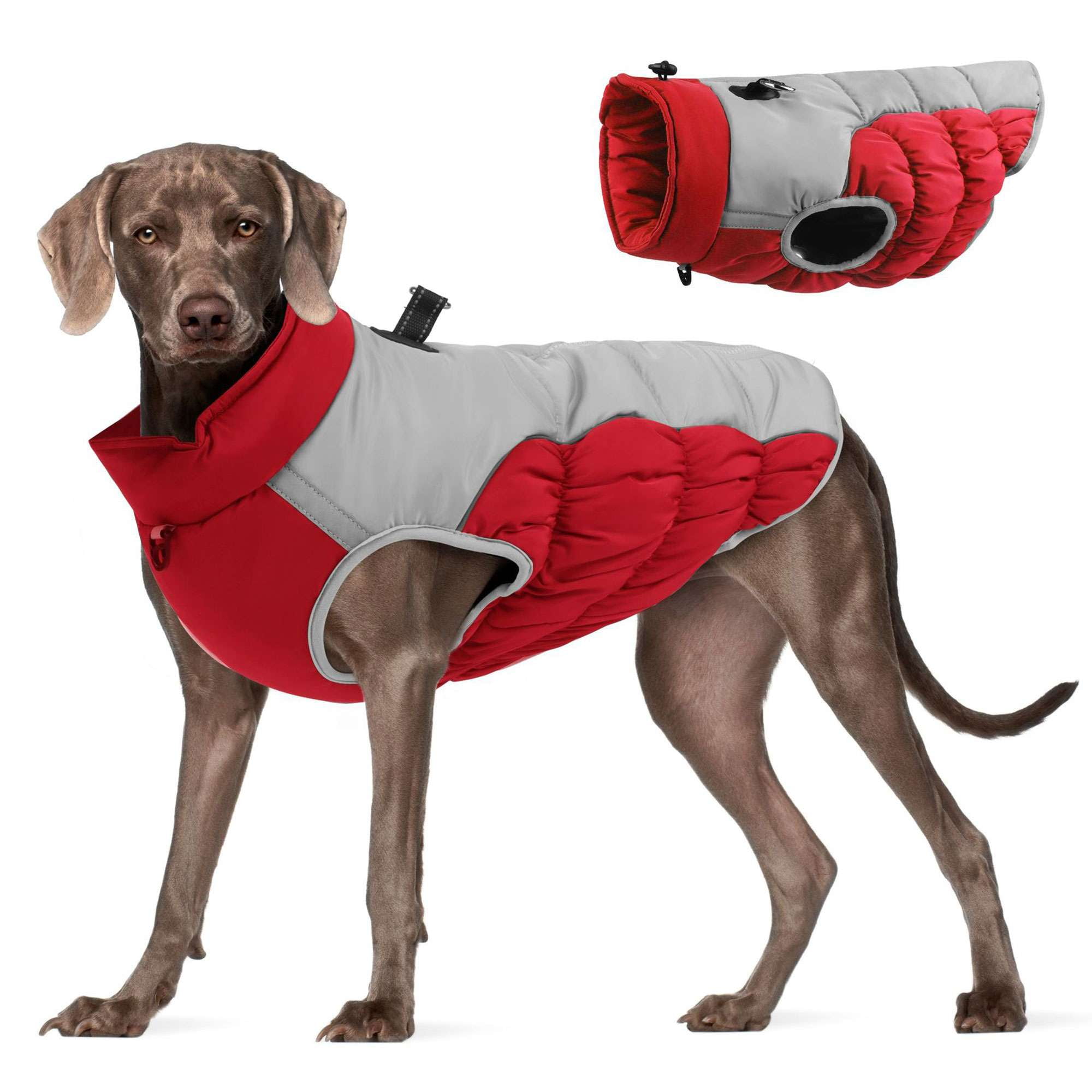 Warm Big Dog Clothing Waterproof Pet Big Dog Jacket Winter Dog Pet ...
