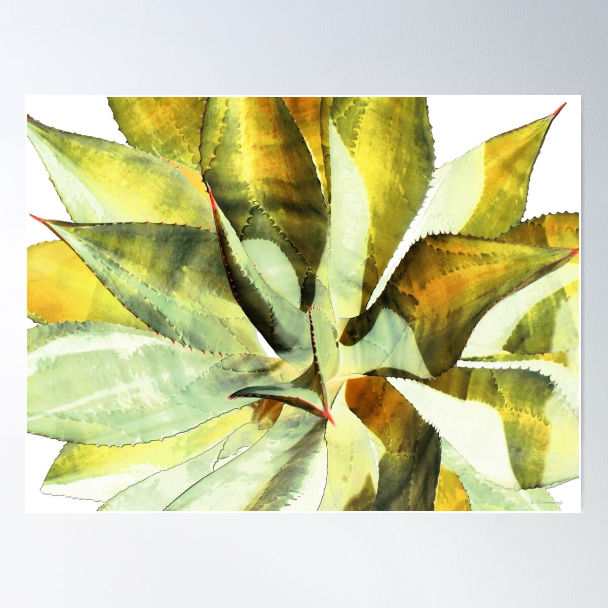 Warm Botanical Agave 2 Plant Art By Sharon Cummings Poster Wall Art ...