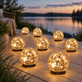 Warm White 8 Globes Solar Globe Outdoor Landscape Walkway Lights ...