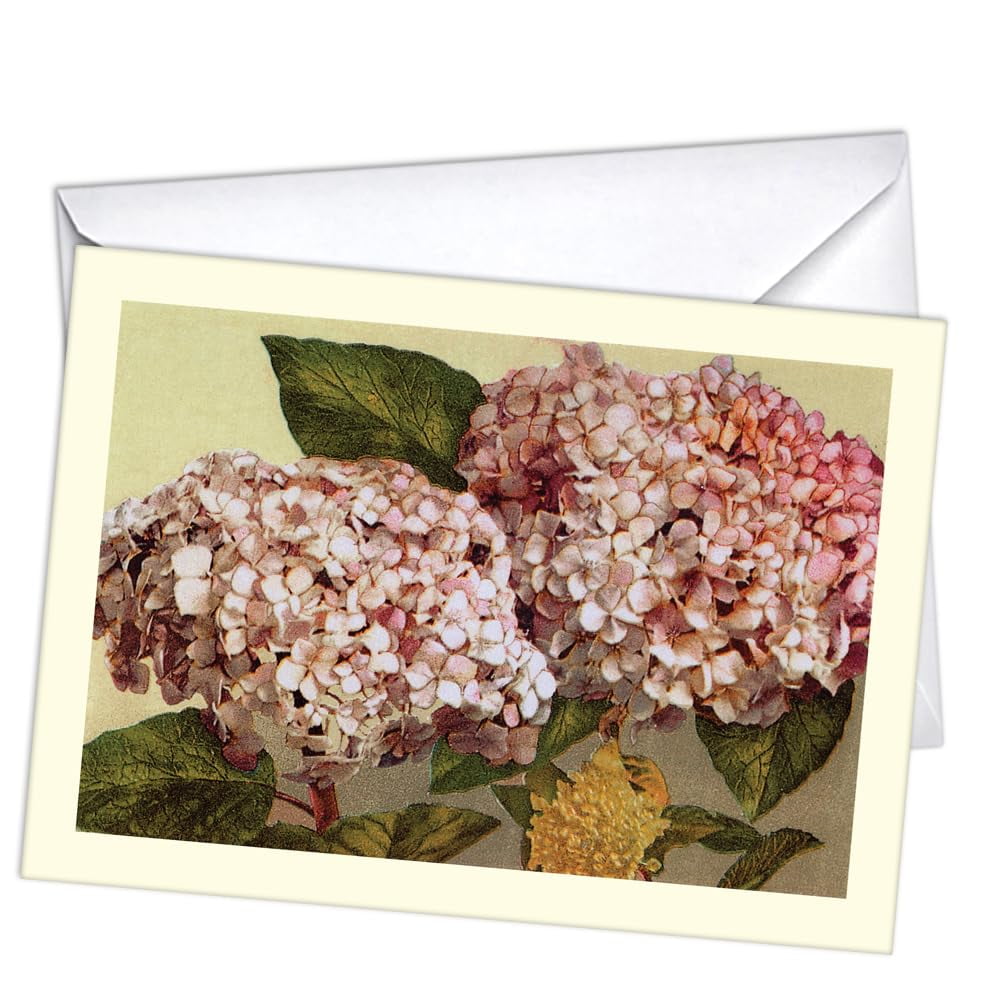 Warmth of Memories Funeral Sympathy Condolence Greeting Cards | 2 Pack ...