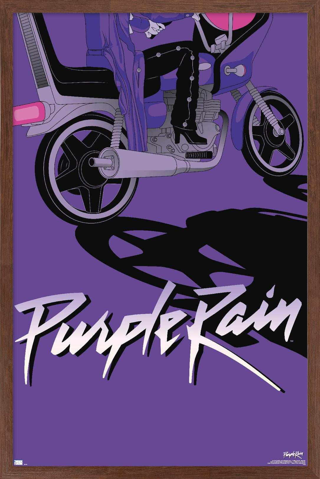 Warner 100th Anniversary: Art of 100th - Purple Rain Wall Poster, 22. ...