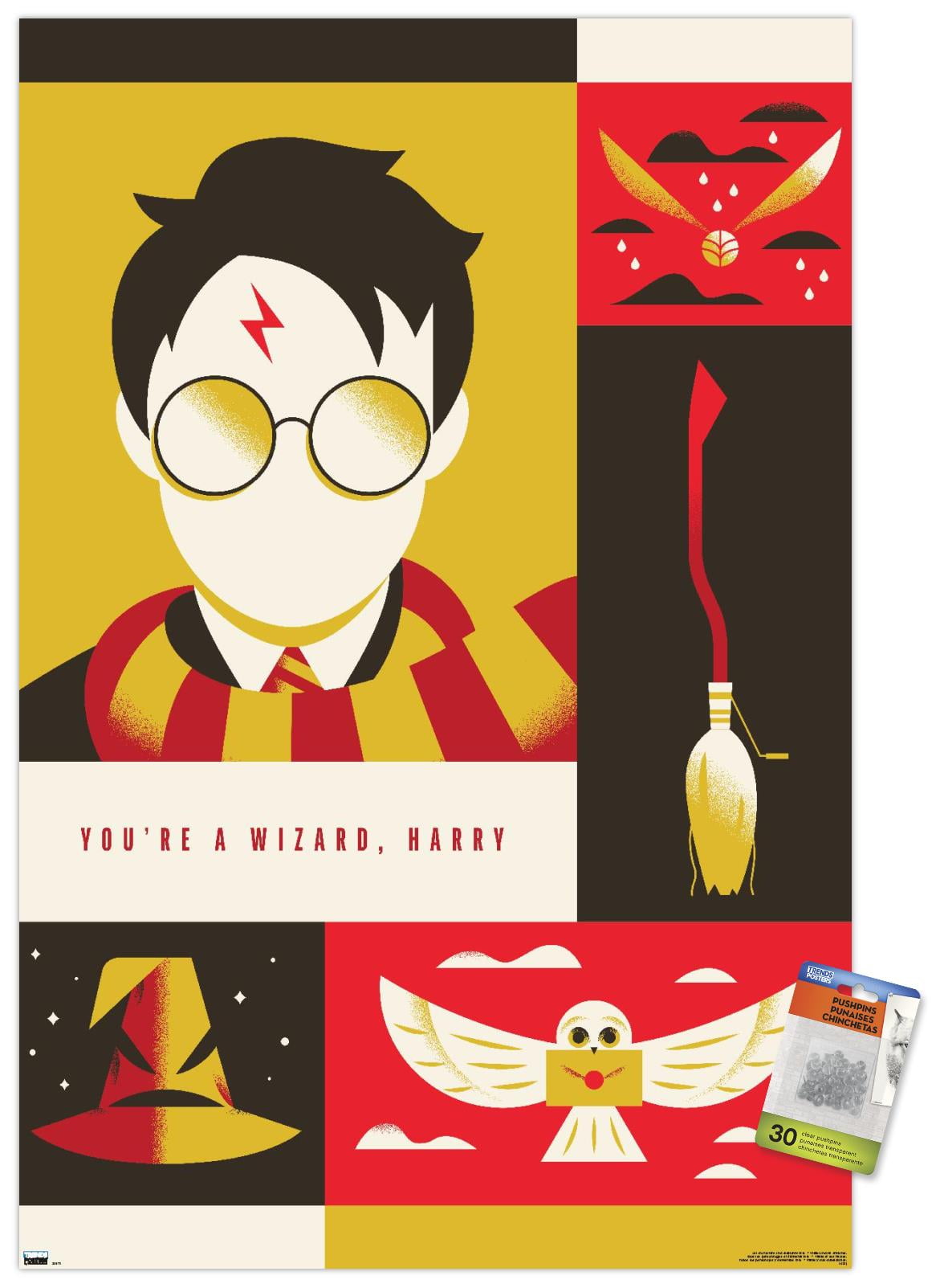 Warner 100th Anniversary - Harry Potter Wall Poster with Push Pins, 22. ...