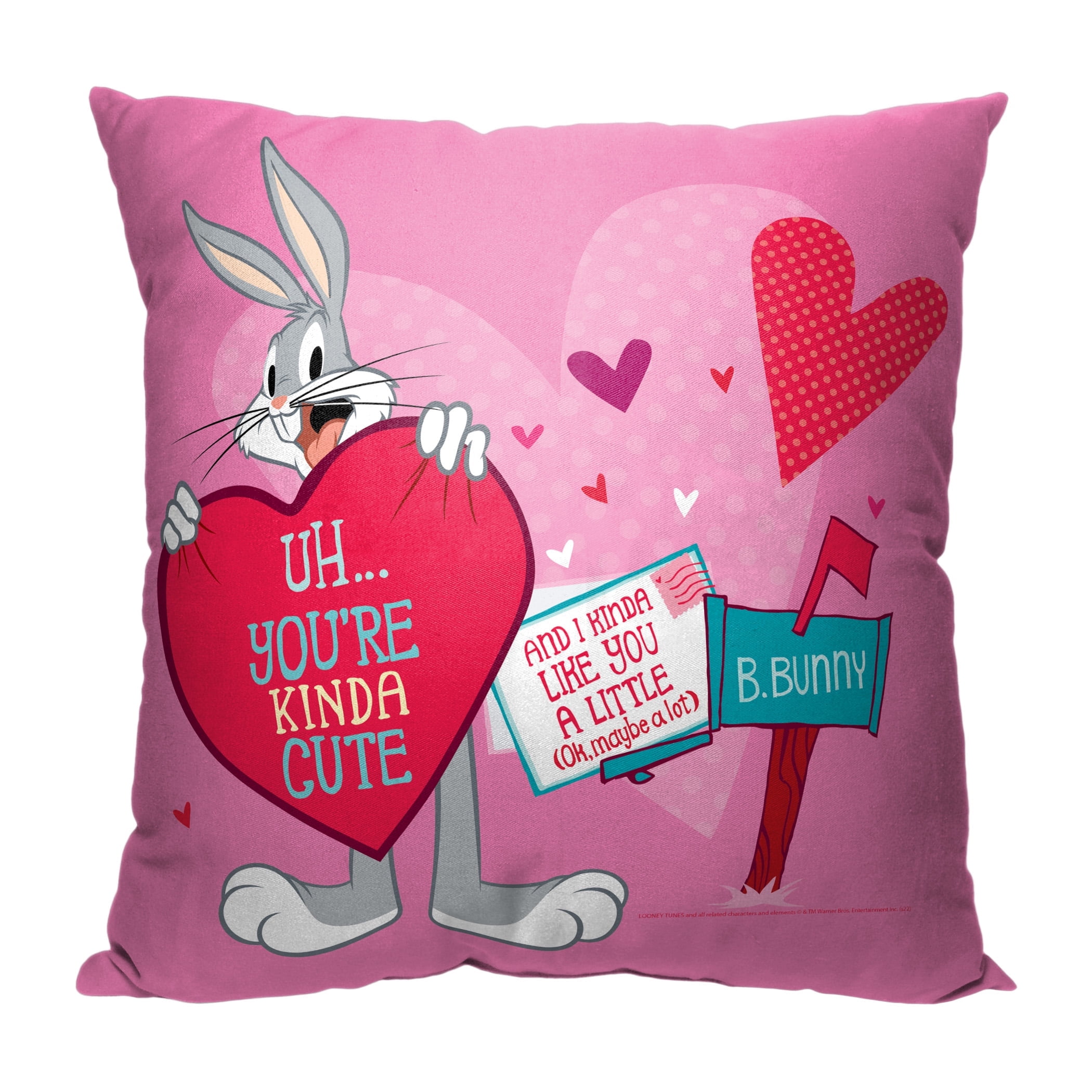 Warner Bros Looney Tunes Looney Love Letter Kids Printed Throw Pillow ...
