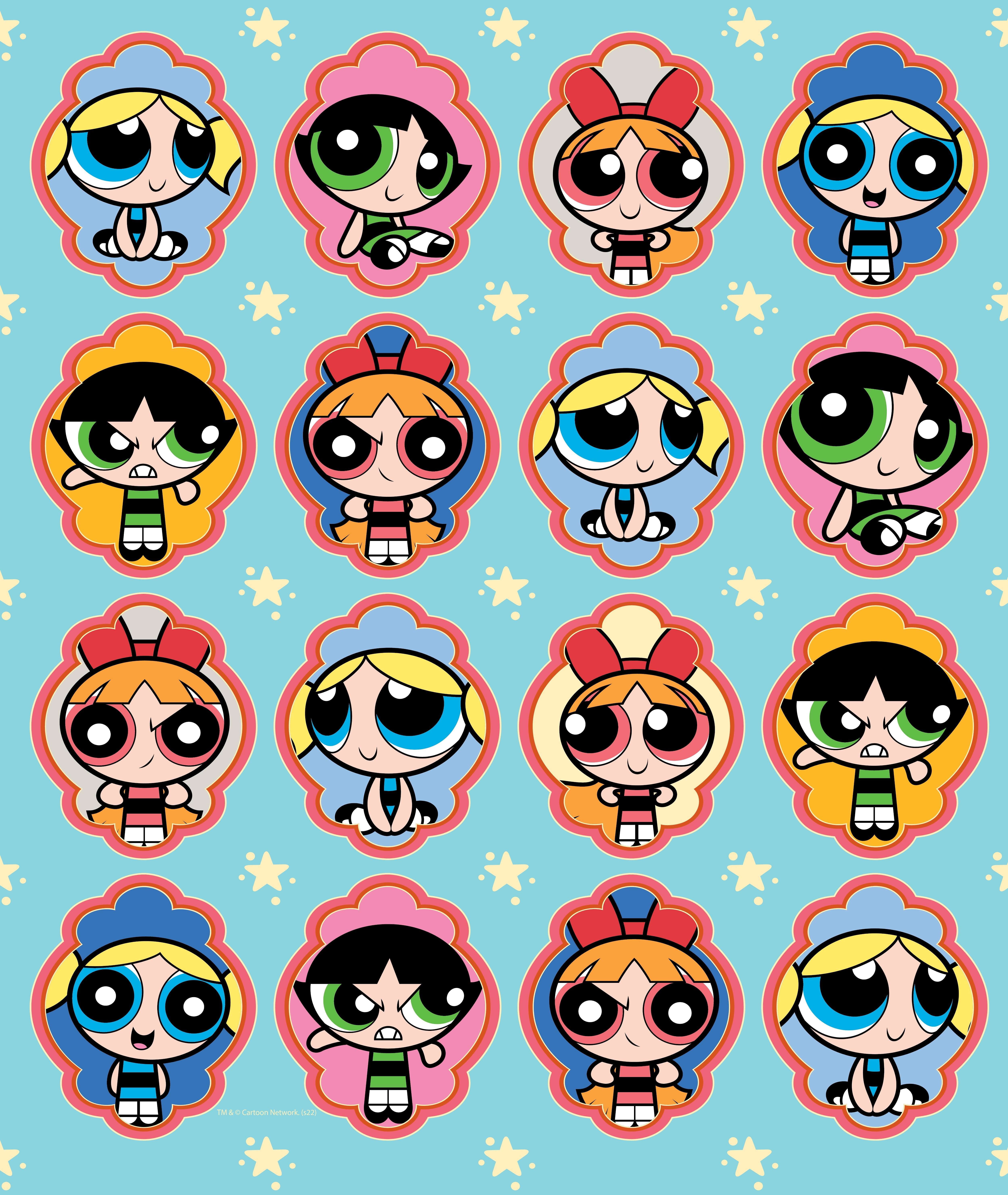 Warner Bros Powerpuff Girls Classic Expressions Kids Silk Touch Throw ...