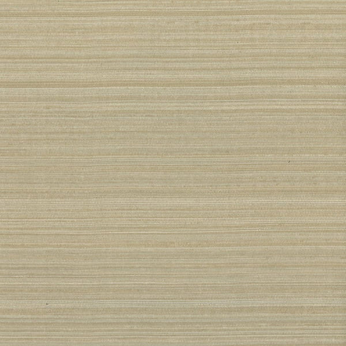 Warner Textures Fernie Sand Challis Silk Wallpaper, 27-in by 27-ft, 60. ...