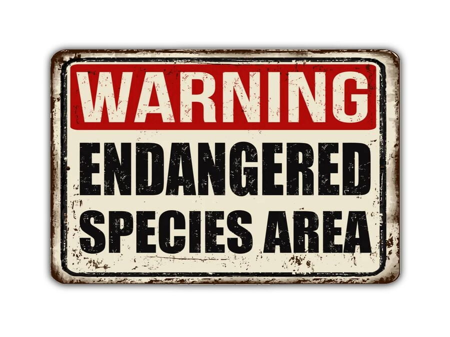 Warning Endangered Species Area Vintage Style Metal Sign Size: 16 x 12 ...