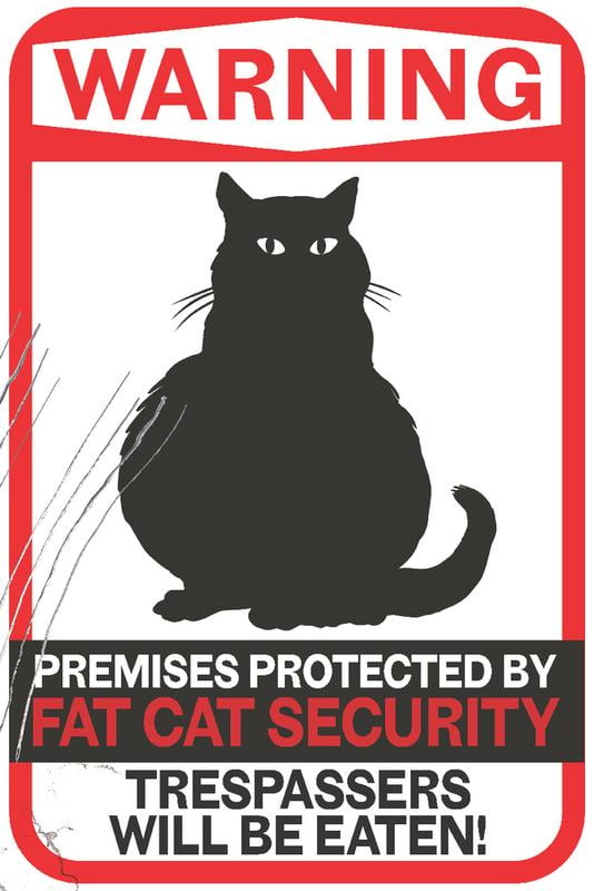 Warning, Fat Cat (12x18 Wall Art Poster, Room Decor) - Walmart.com