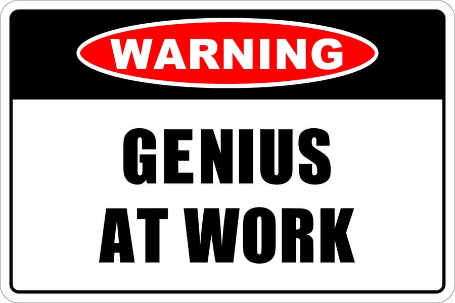 Warning Genius At Work Size: 16 x 12 Inch Metal Novelty Sign - Walmart.com