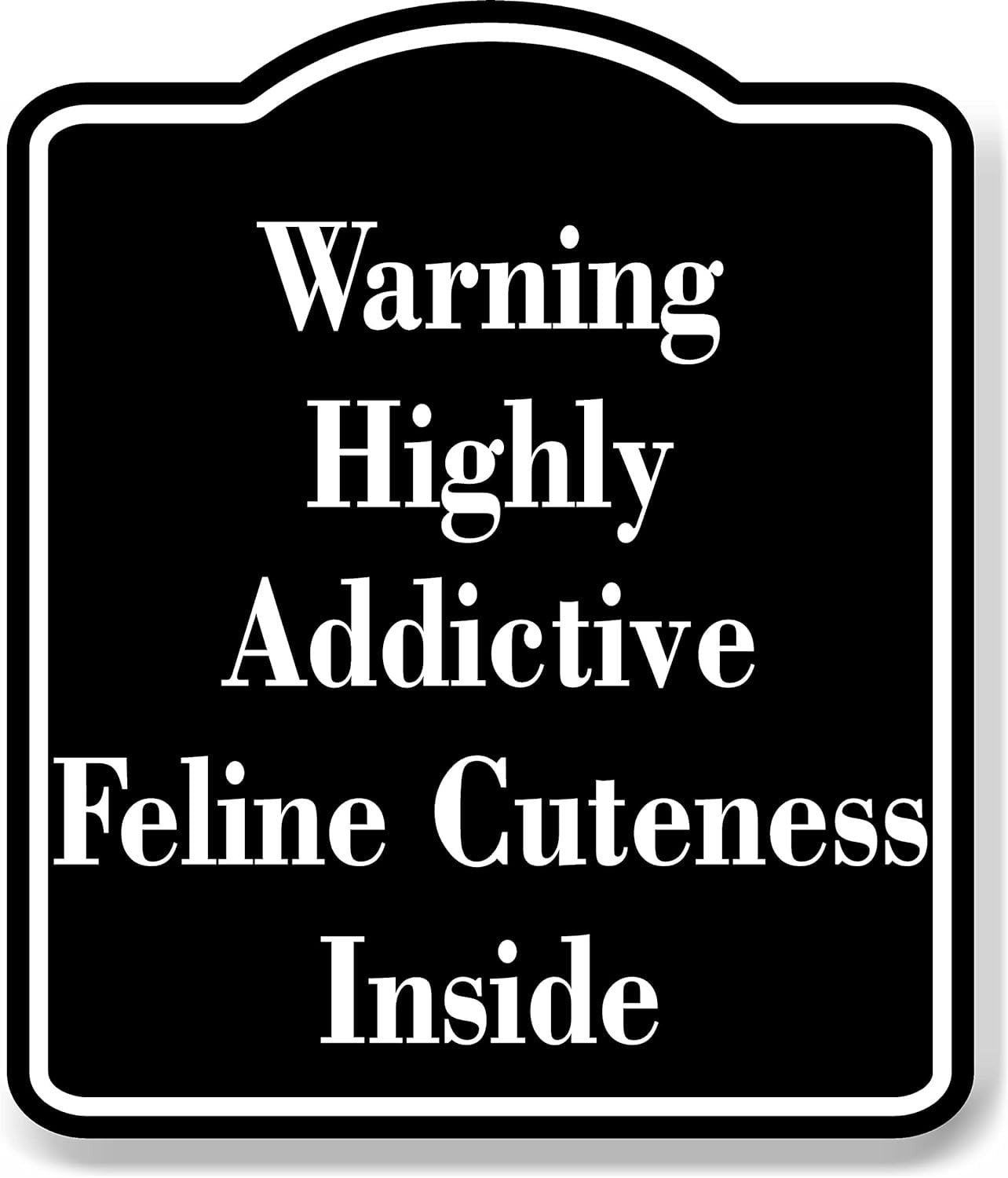 Warning - Highly Addictive Feline Cuteness Inside BLACK Aluminum ...