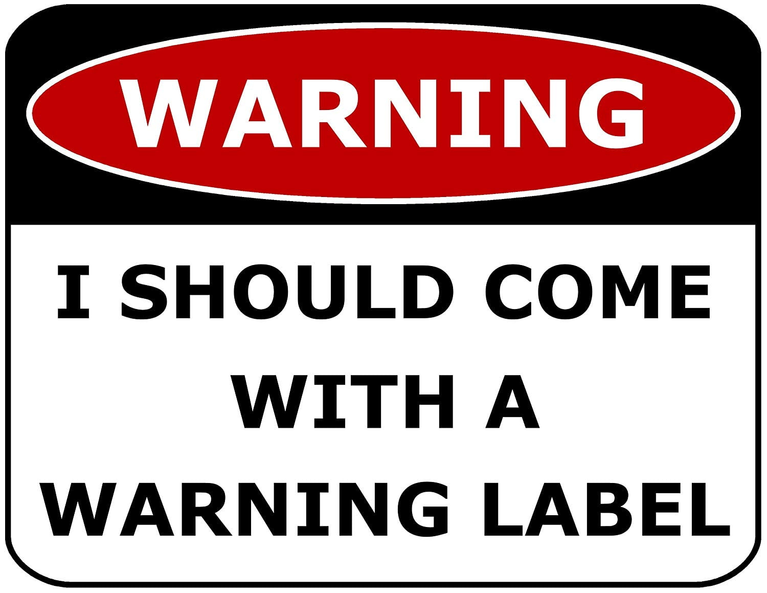 Warning I Should Come with a Warning Label 11.5 inch by 9 inch ...