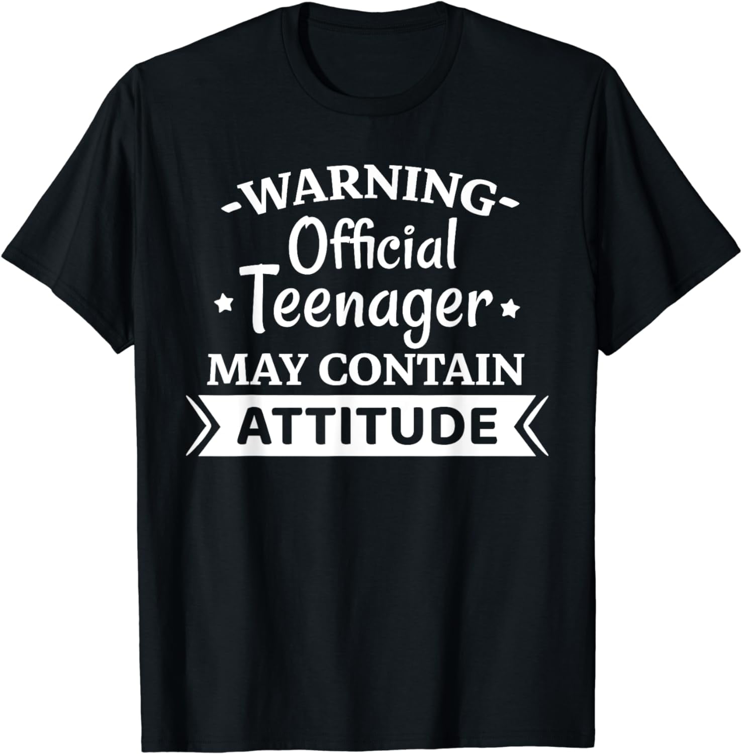 Warning Official Teenager 13th Birthday 13 Year Old Boy Girl T-Shirt ...