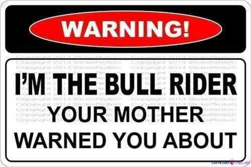 Warning Plaque Warning I'm The Bull Rider Sign Courtyard Decoration ...