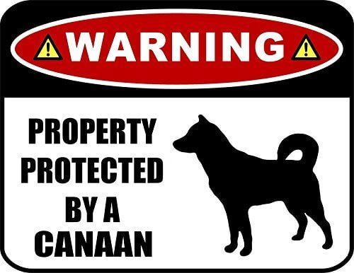 Warning Property Protected by a Canaan (Metal Sign) Dog Sign Size: 8 x ...