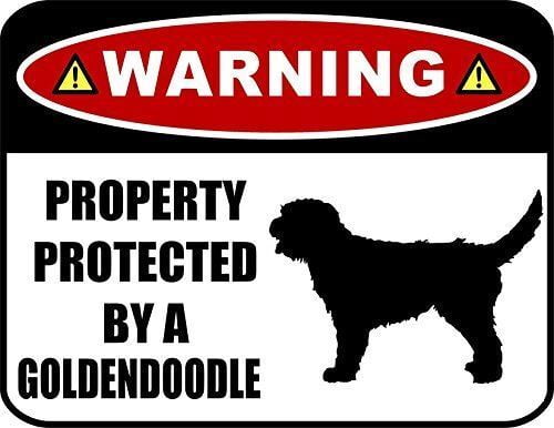 Warning Property Protected by a Goldendoodle (Metal Aluminum Sign) Dog ...