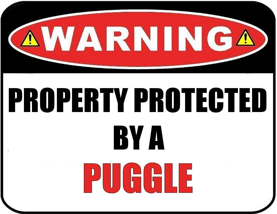 Warning Property Protected by a Puggle 9 inch x 11.5 inch Laminated Dog ...
