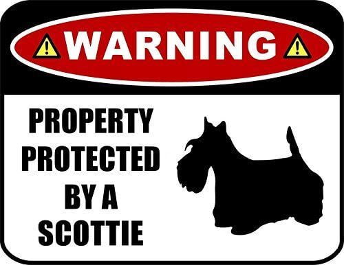 Warning Property Protected by a Scottie (Metal Sign) Dog Sign Size: 16 ...