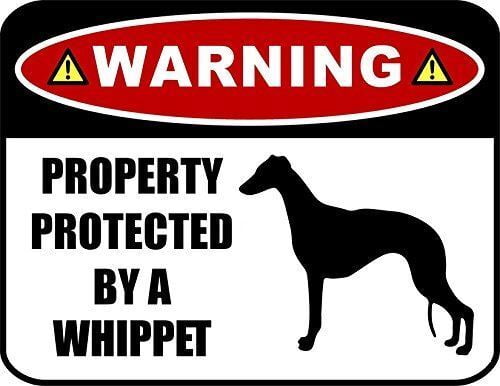 Warning Property Protected by a Whippet (Metal Sign) Dog Sign Size: 16 ...