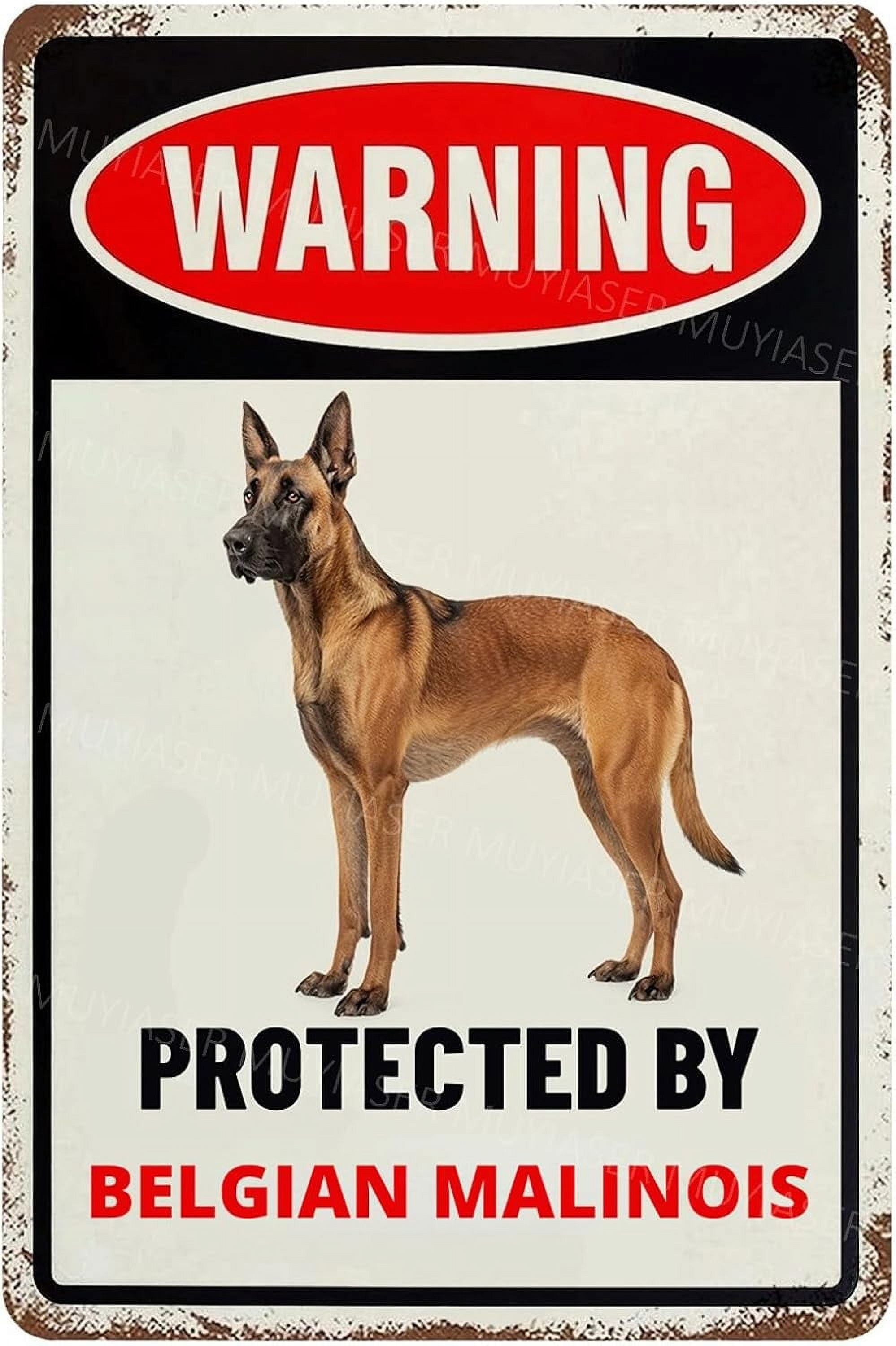 Warning Protected By Malinois Metal Tin Signs Outdoor Yard Sign Warning ...