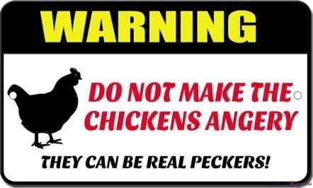 Warning Reminder Sign Road Do Not Make The Chickens Angry Novelty Funny ...