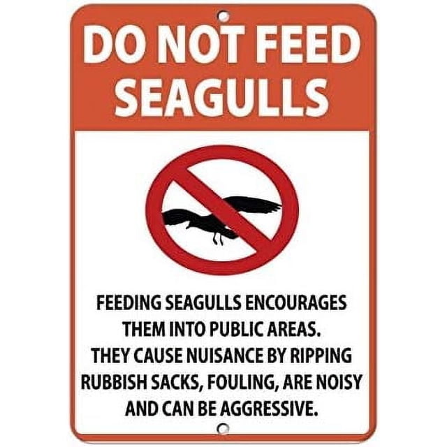 Warning Sign Do Not Feed Seagulls Feeding Seagulls Encouragespublic ...
