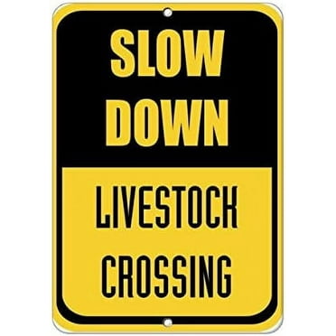 Woodsam 32"x24" LED Illuminated Message Writing Flashing Board Menu ...