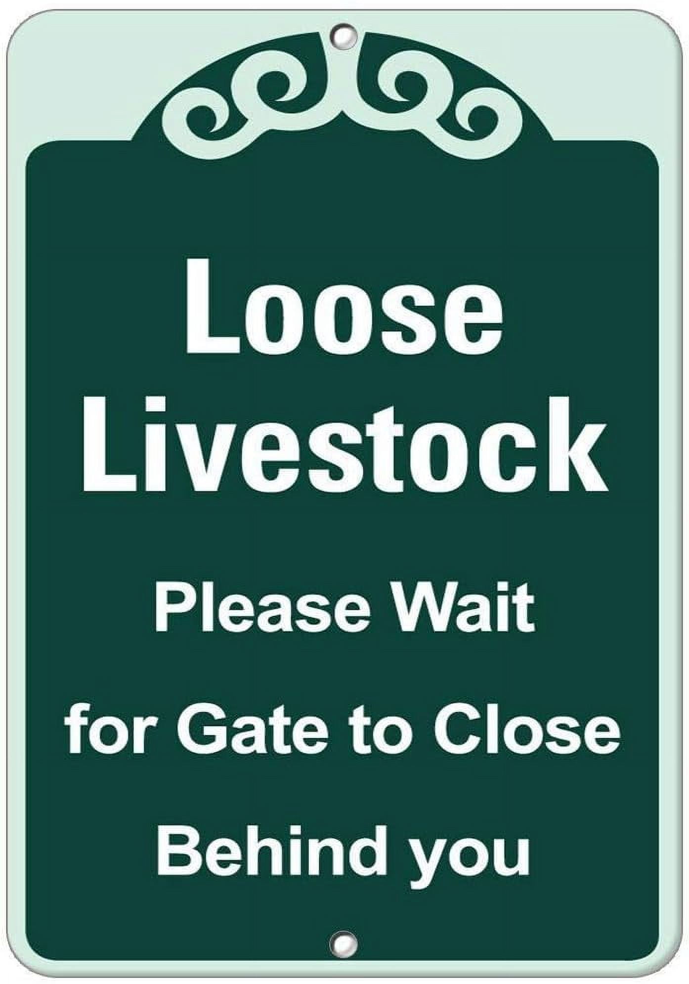 Warning Sign Speed Limit 5MPH Slow Down Pets at Play Dog Cat Turtle ...