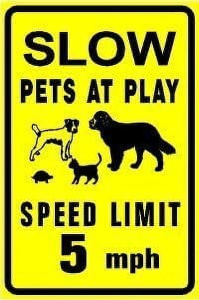 Warning Sign Speed Limit 5MPH Slow Down Pets at Play Dog Cat Turtle ...