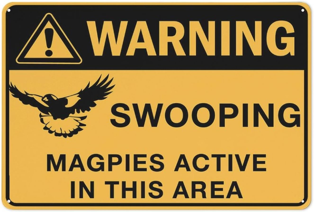Warning Swooping Magpies Active In This Area Sign For Business 8X12 in ...