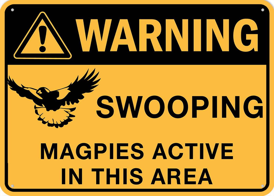 Warning Swooping Magpies Active In This Area Sign For House 12" X 8 ...