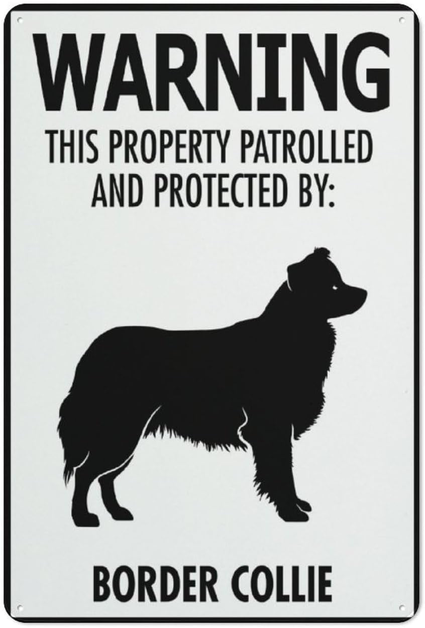 Warning This Property Patrolled And Protected By Border Collie Sign ...