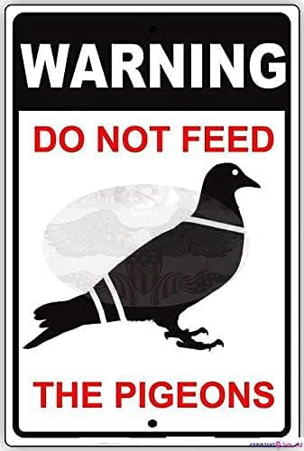 Warning reminder Sign Do Not Feed The Pigeons With Graphic Size 8 x 12 ...