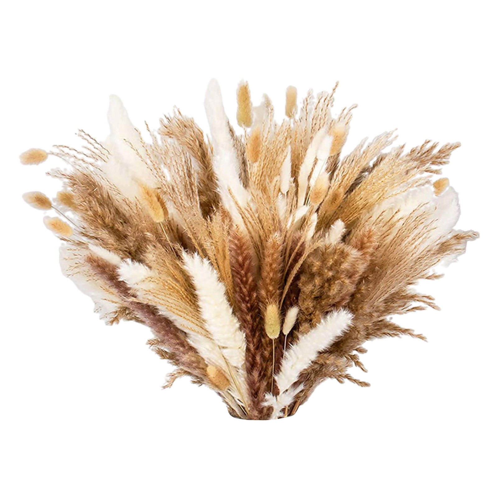 Waroomhouse Dried Flower Arrangement Wire Stem Dried Flowers Natural ...