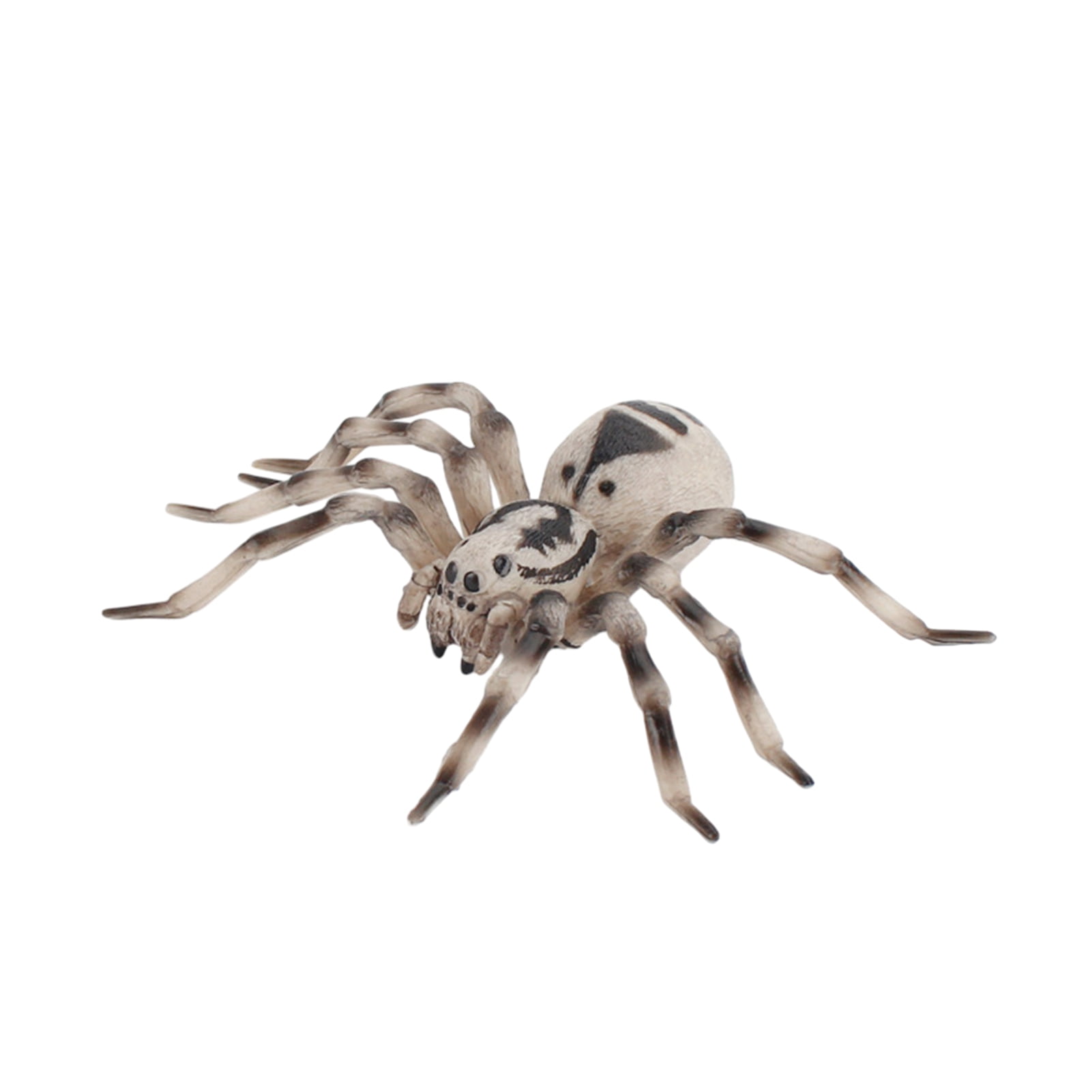 Waroomhouse Durable Spider Decoration Simulated Spider Decoration ...
