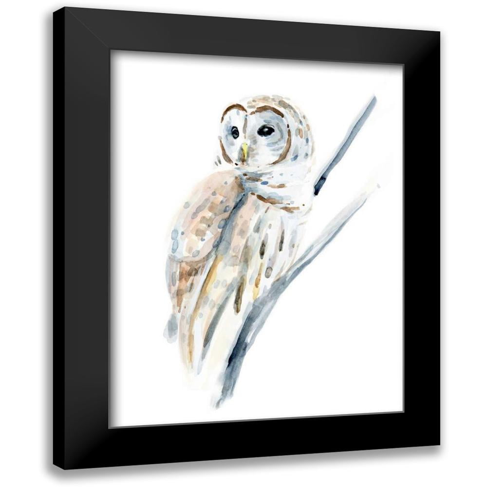 Warren, Annie 12x14 Black Modern Framed Museum Art Print Titled - Arctic Owl I - Walmart.com