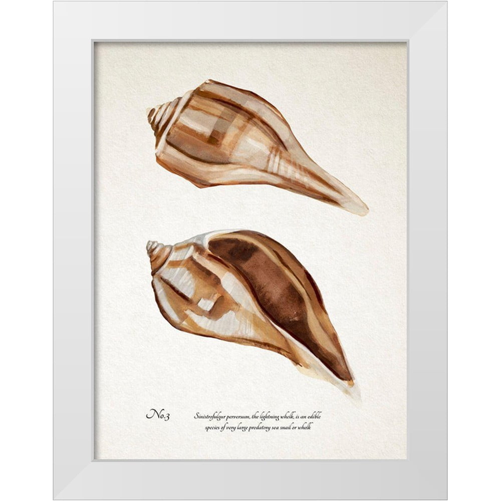 Warren, Annie 12x14 White Modern Wood Framed Museum Art Print Titled ...