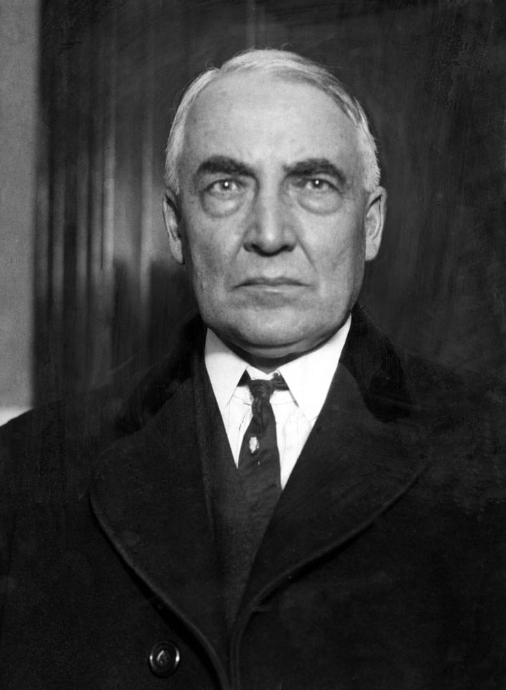 Warren G. Harding History (18 x 24) - Walmart.com