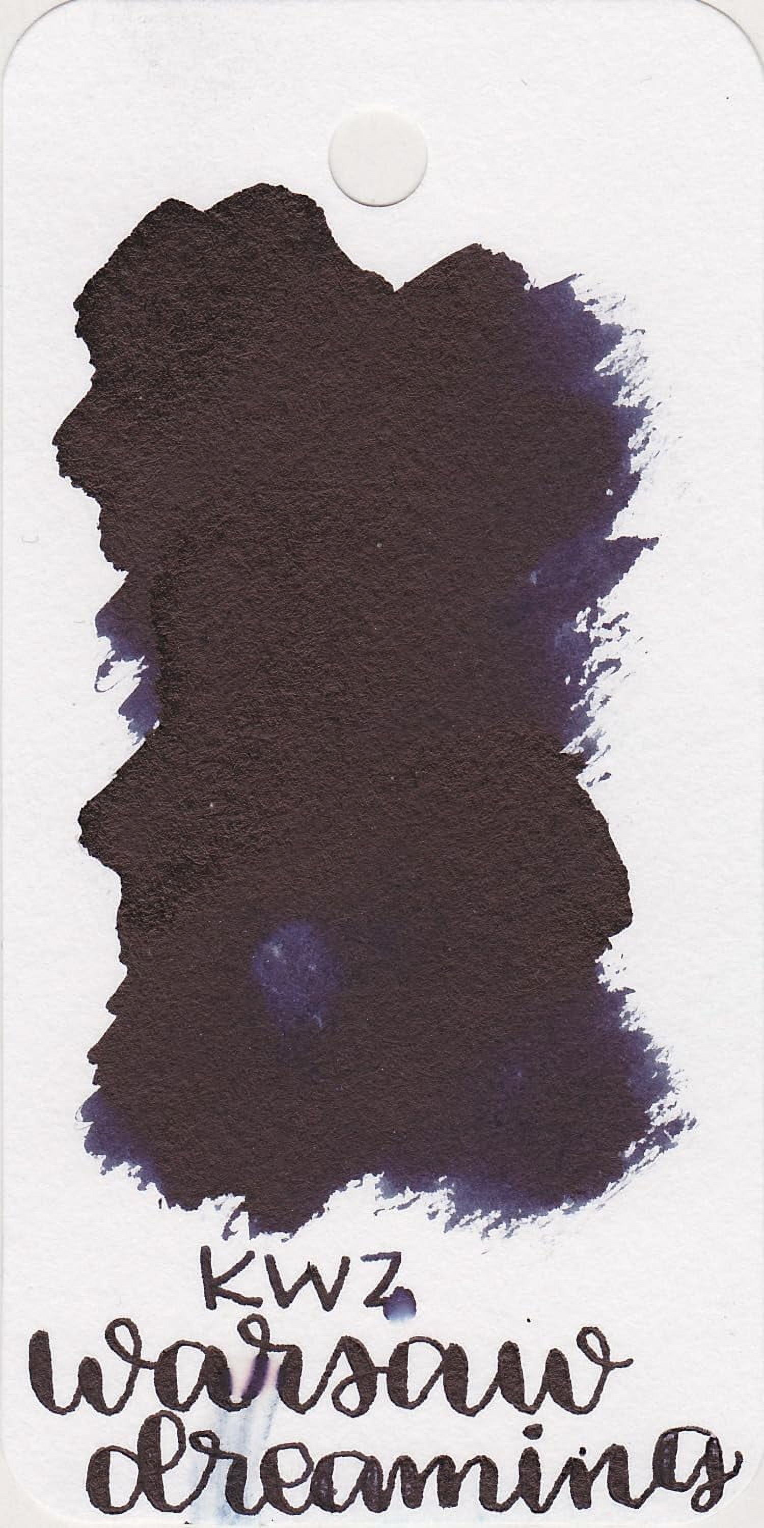 Warsaw Dreaming Fountain Pen Bottled Ink-60 ml [Shade of Blue Black ...