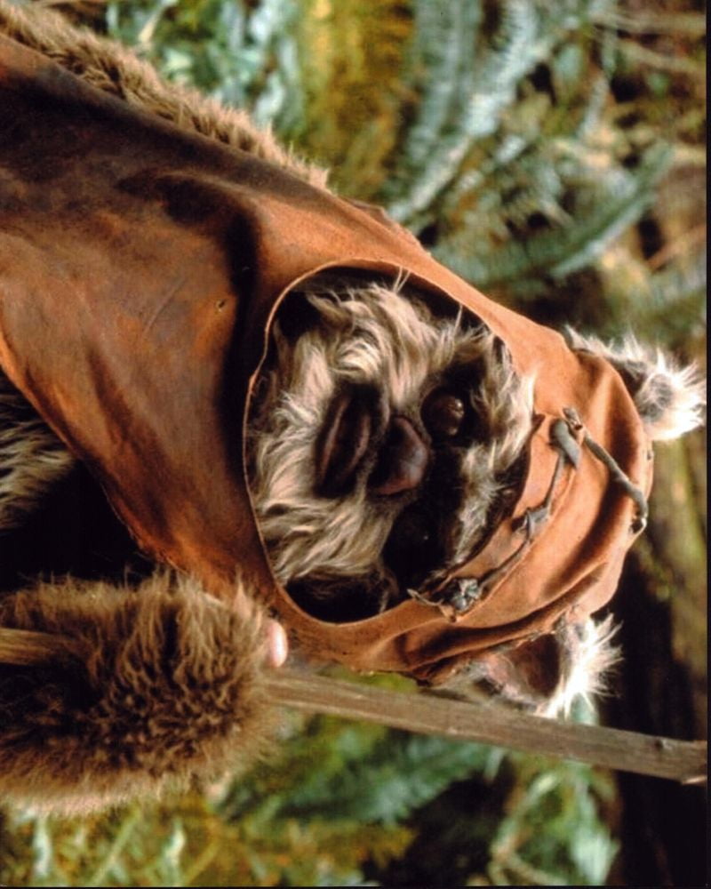 Warwick Davis As Ewok In Star Wars: Episode Vi - Return Of The Jedi ...
