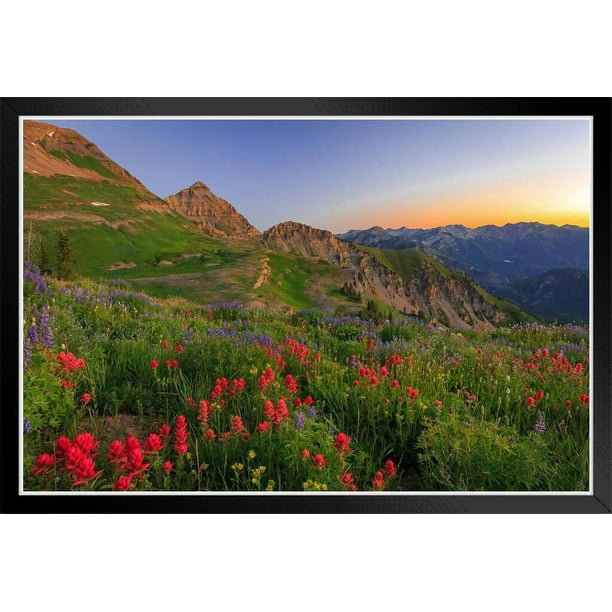 Wasatch Mountains Wildflower Dawn Landscape Photo Black Wood Framed ...