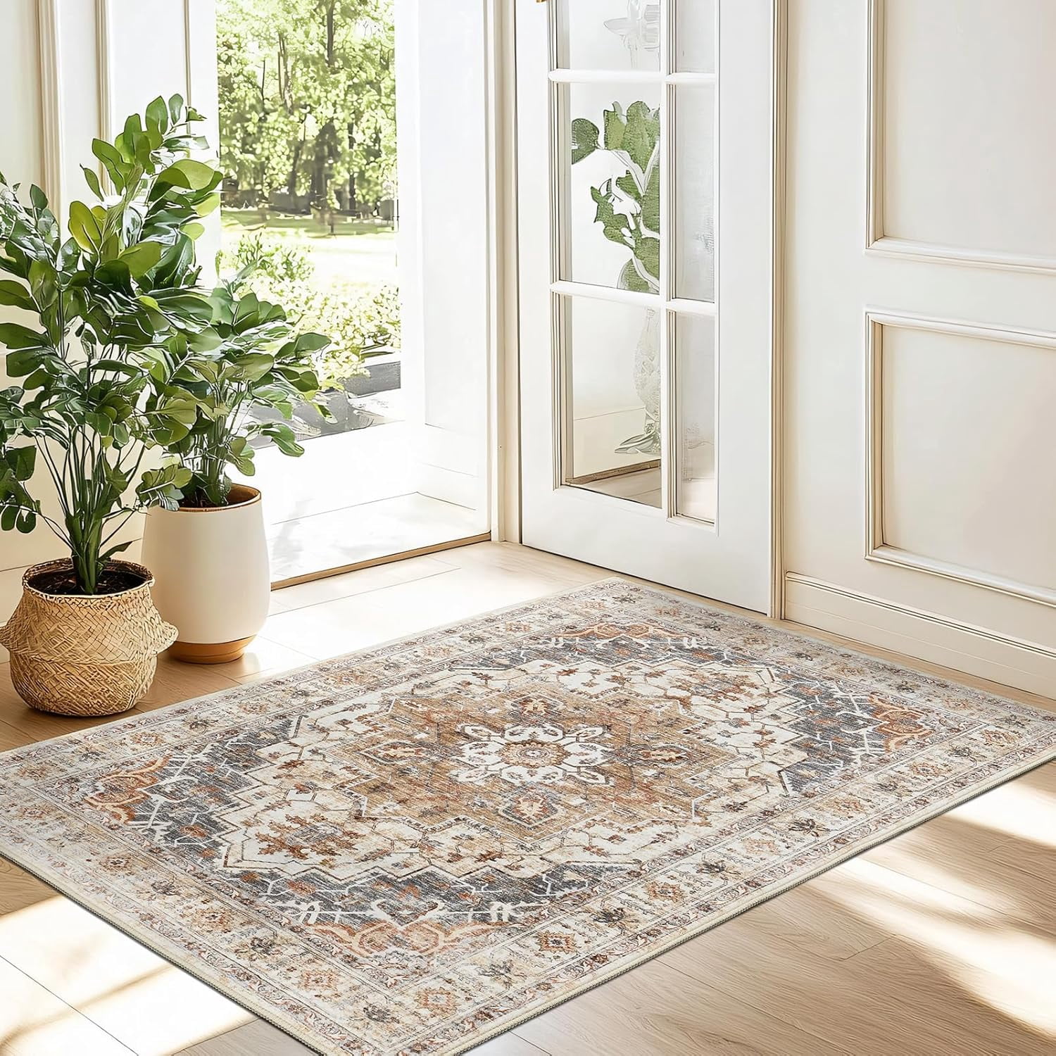 Washable Area Rug 2x3, Small Entryway Rug Non-Slip Vintage Door Mat ...