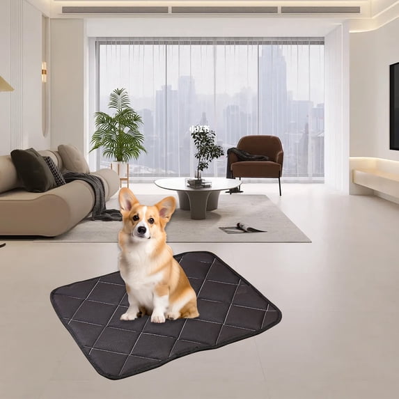 Washable Dog Pee Pad, Reusable Training Mat, Super Absorbent and ...