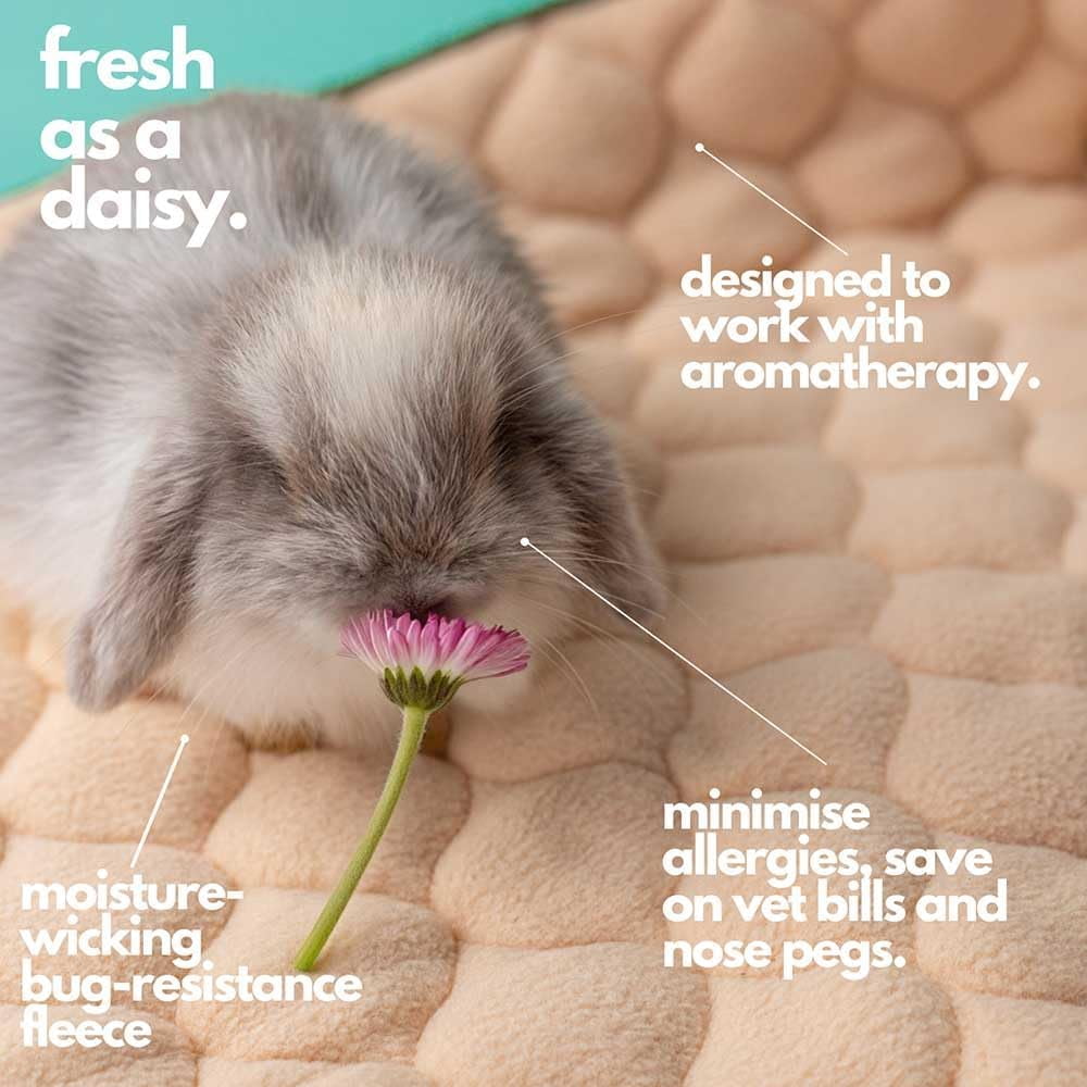 Washable Fleece Bedding for Guinea Pigs & Rabbits | Odor-Busting ...