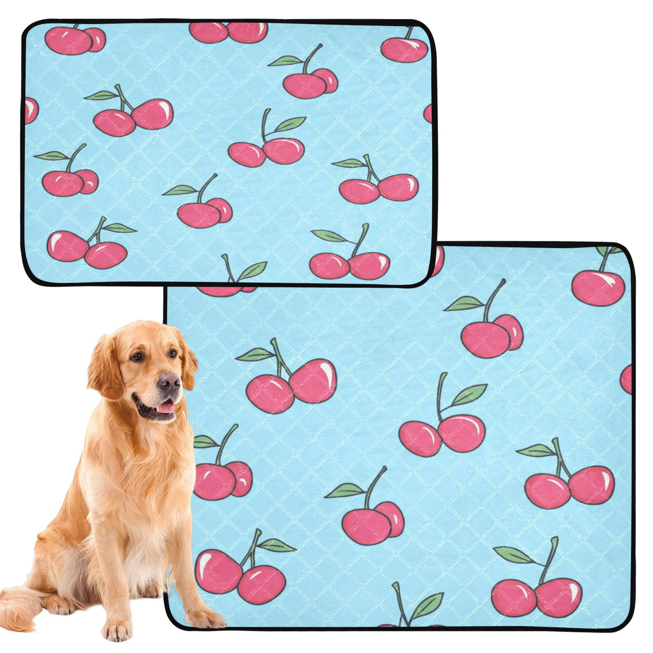 Washable Pet Pee Pads with Super Absorbent Reusable Training Pads for ...