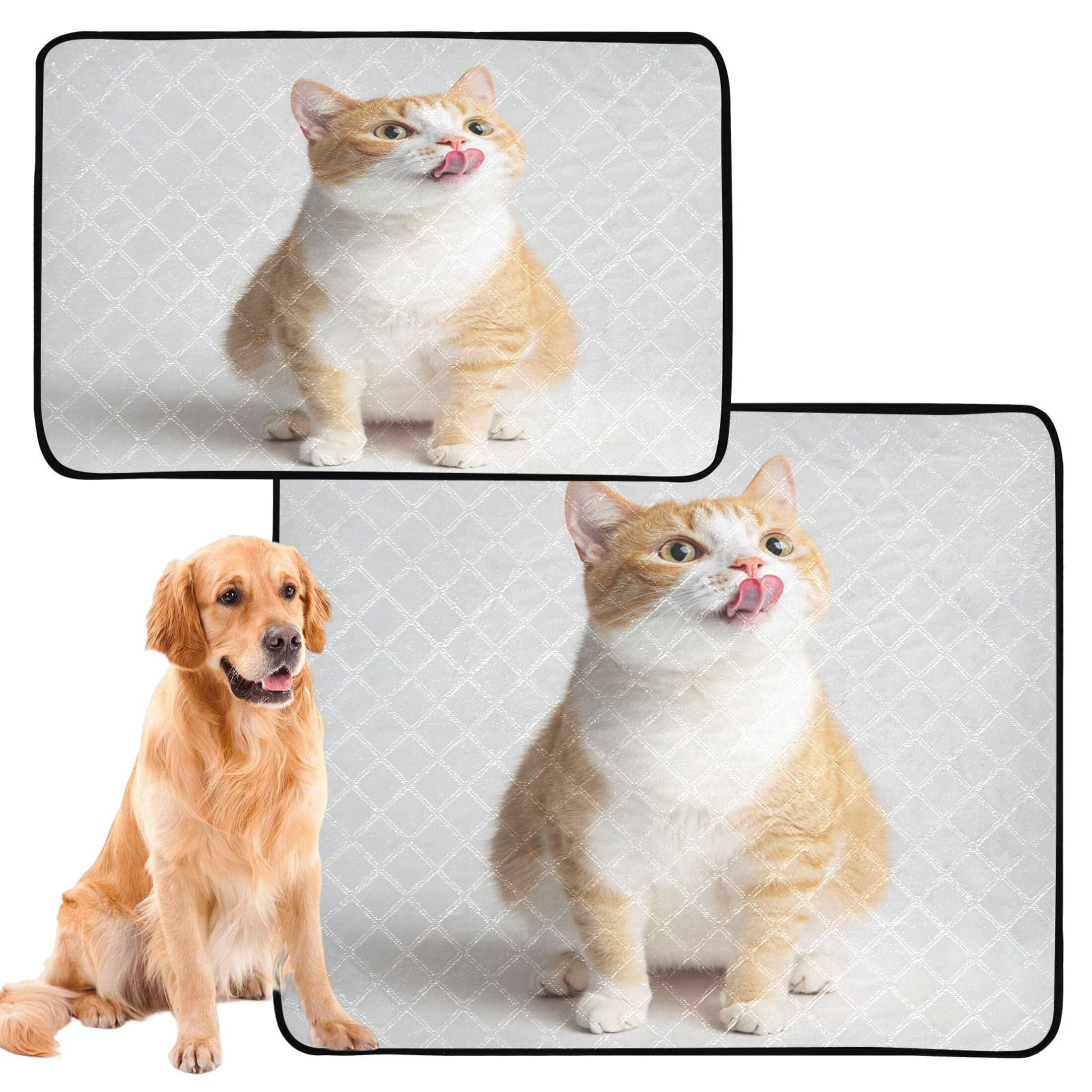 Washable Pet Pee Pads with Super Absorbent Reusable Training Pads for ...