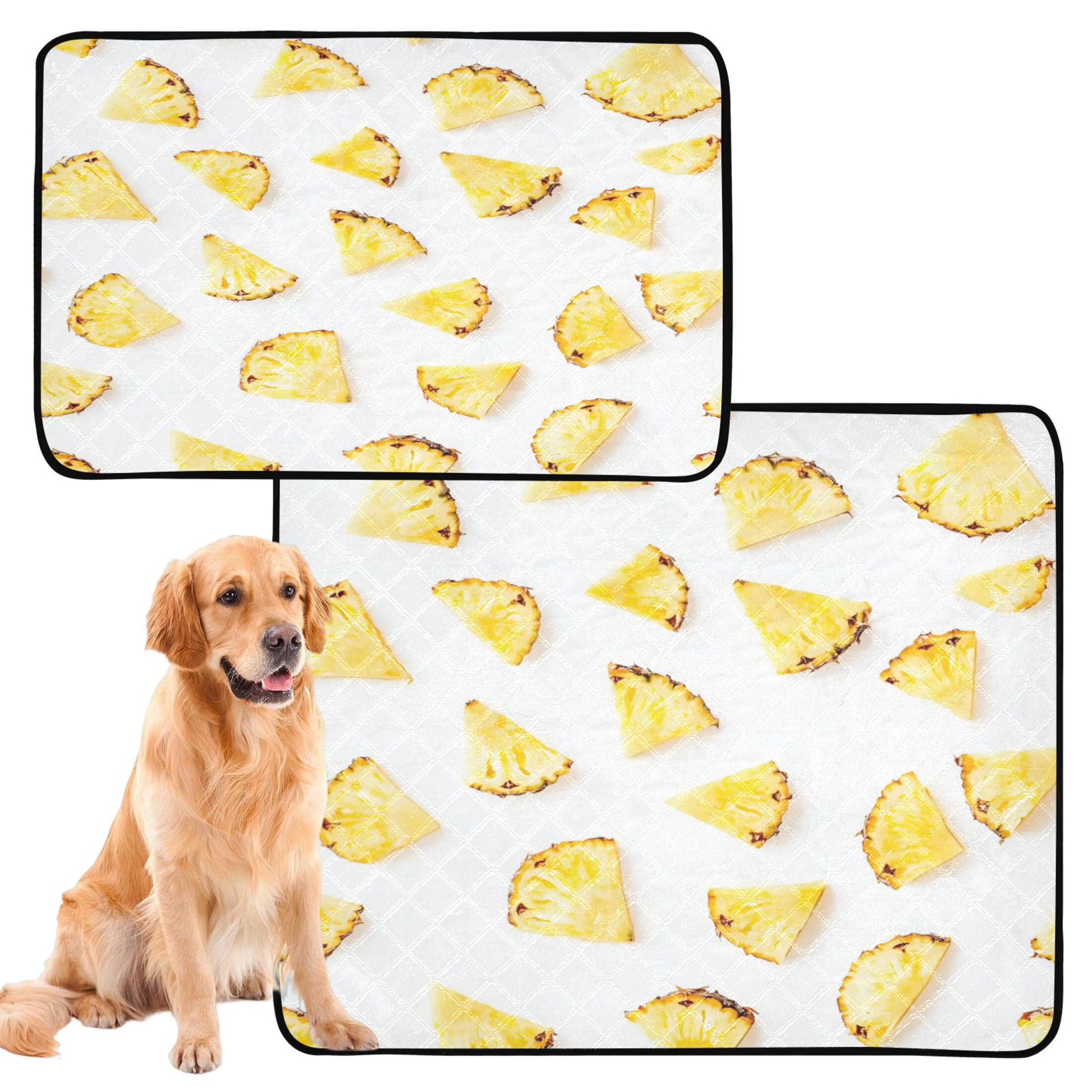 Washable Pet Pee Pads with Super Absorbent Reusable Training Pads for ...