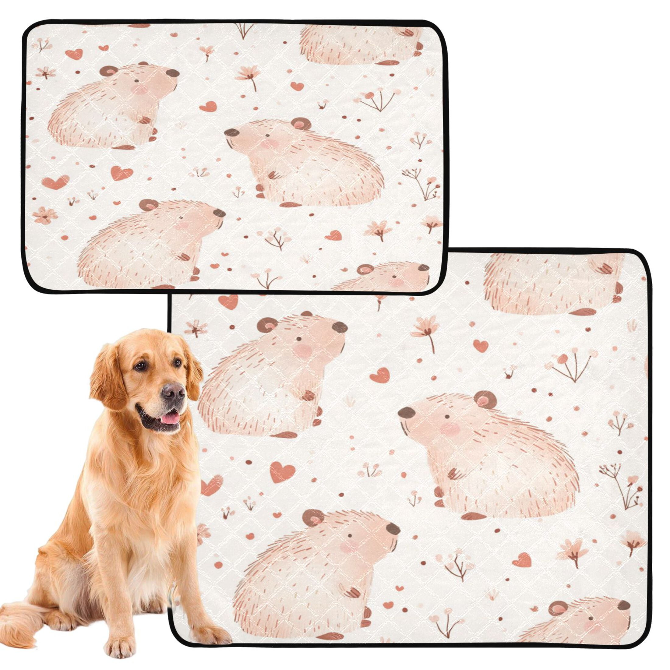 Washable Pet Pee Pads with Super Absorbent Reusable Training Pads for ...