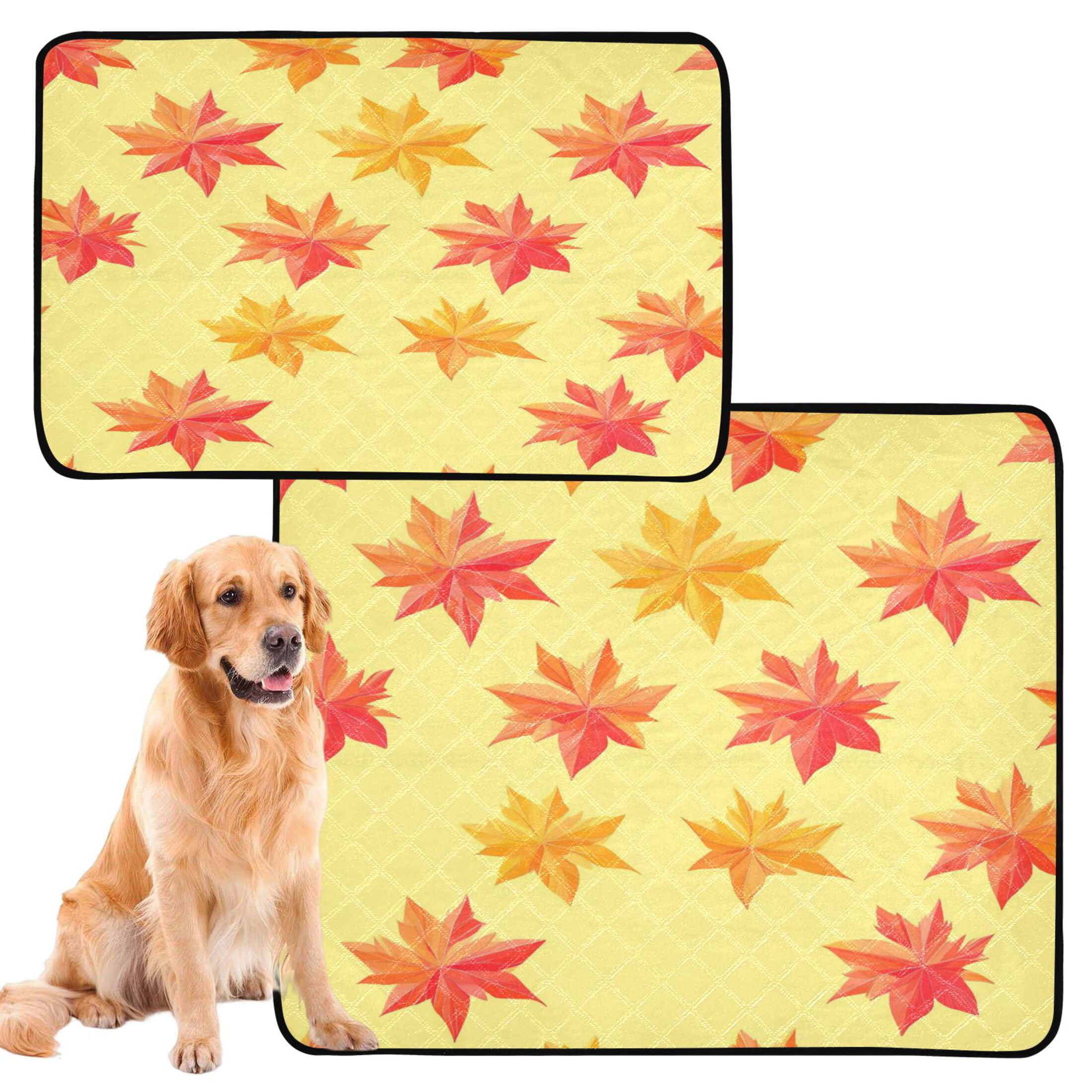 Washable Pet Pee Pads with Super Absorbent Reusable Training Pads for ...